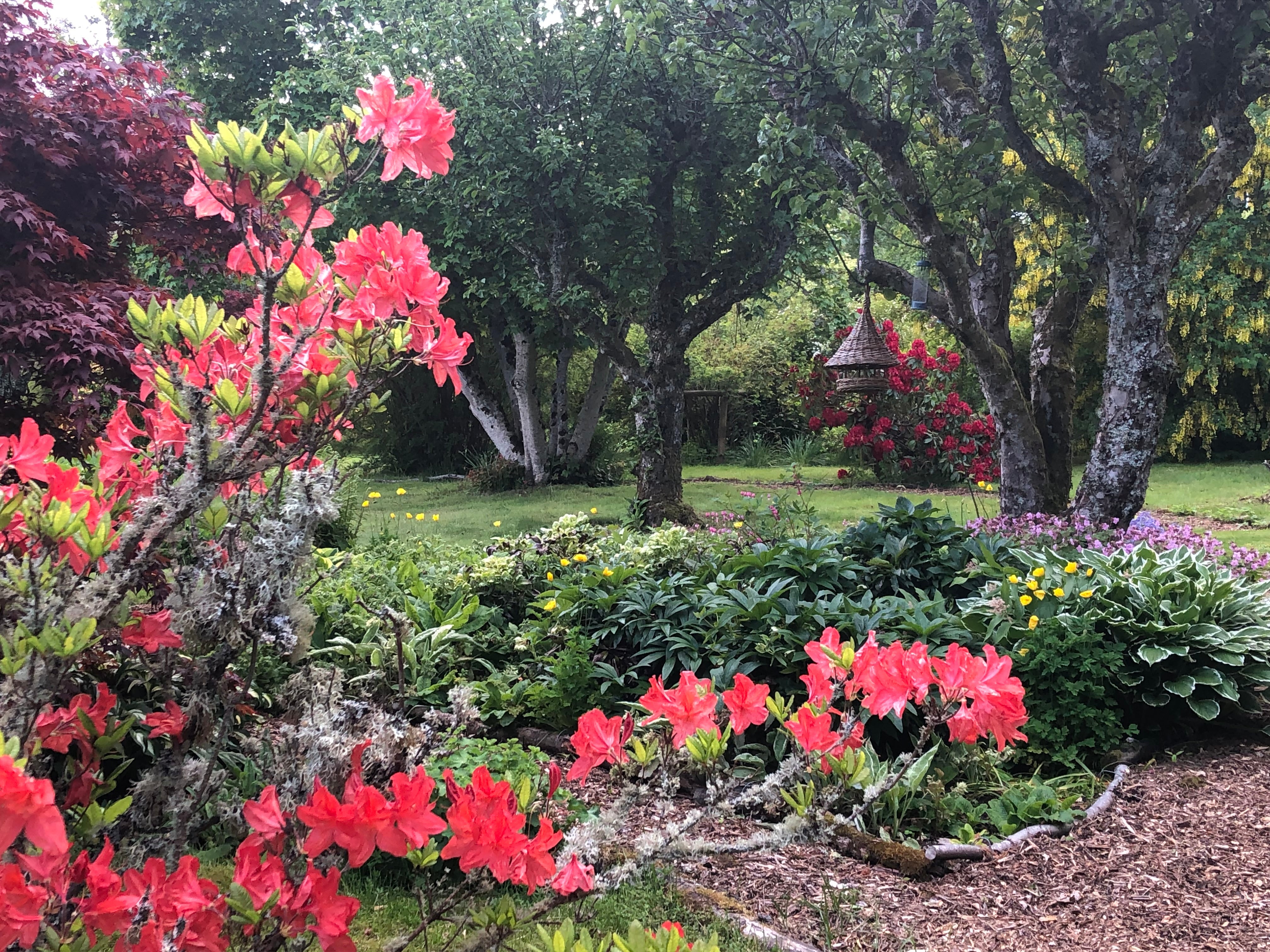 2023 Finzean House Open Garden Event – Finzean Estate