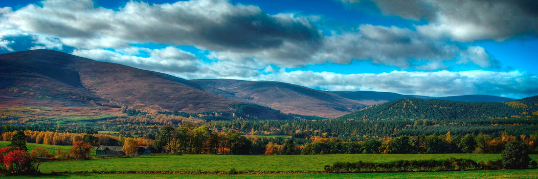 Finzean Estate